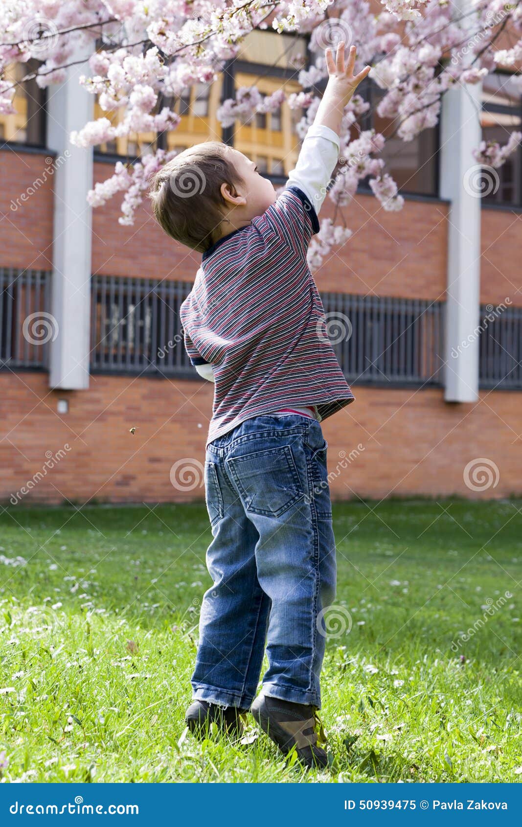 396 Child Stretching Spring Photos - Free & Royalty-Free Stock Photos ...