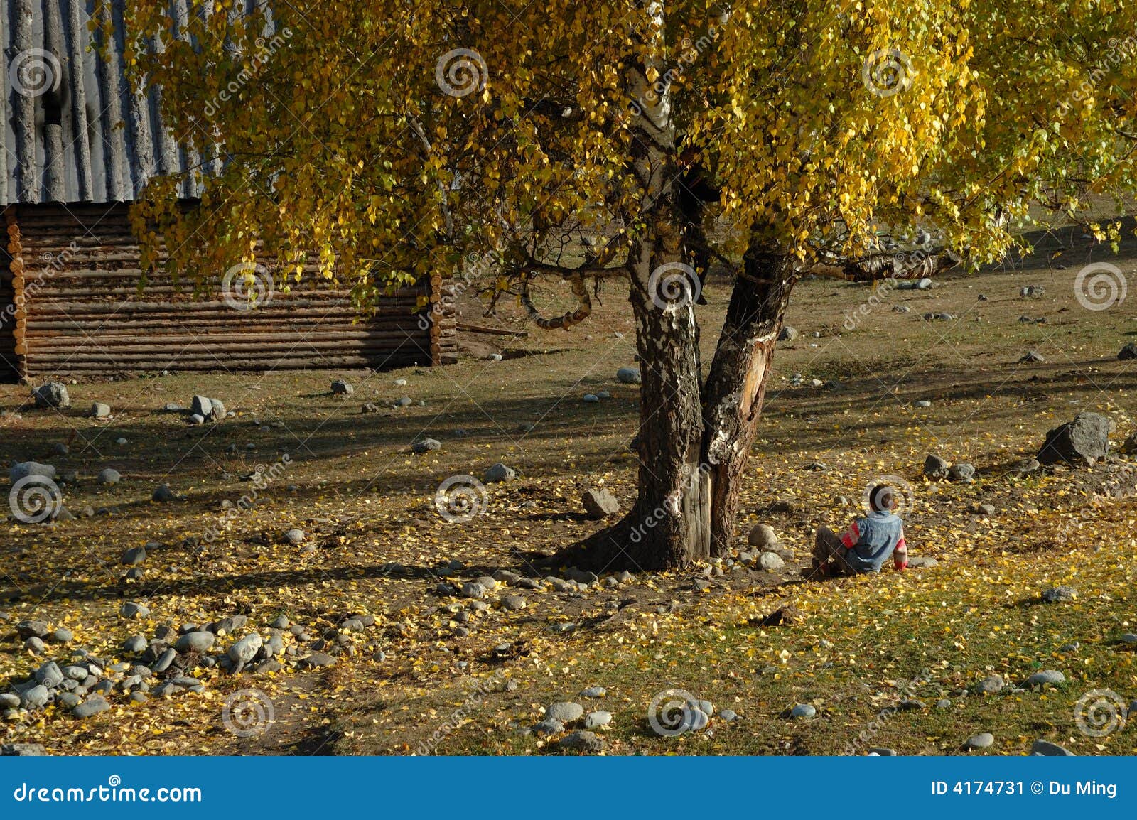Child Under the Tree stock image. Image of child, landscape - 4174731