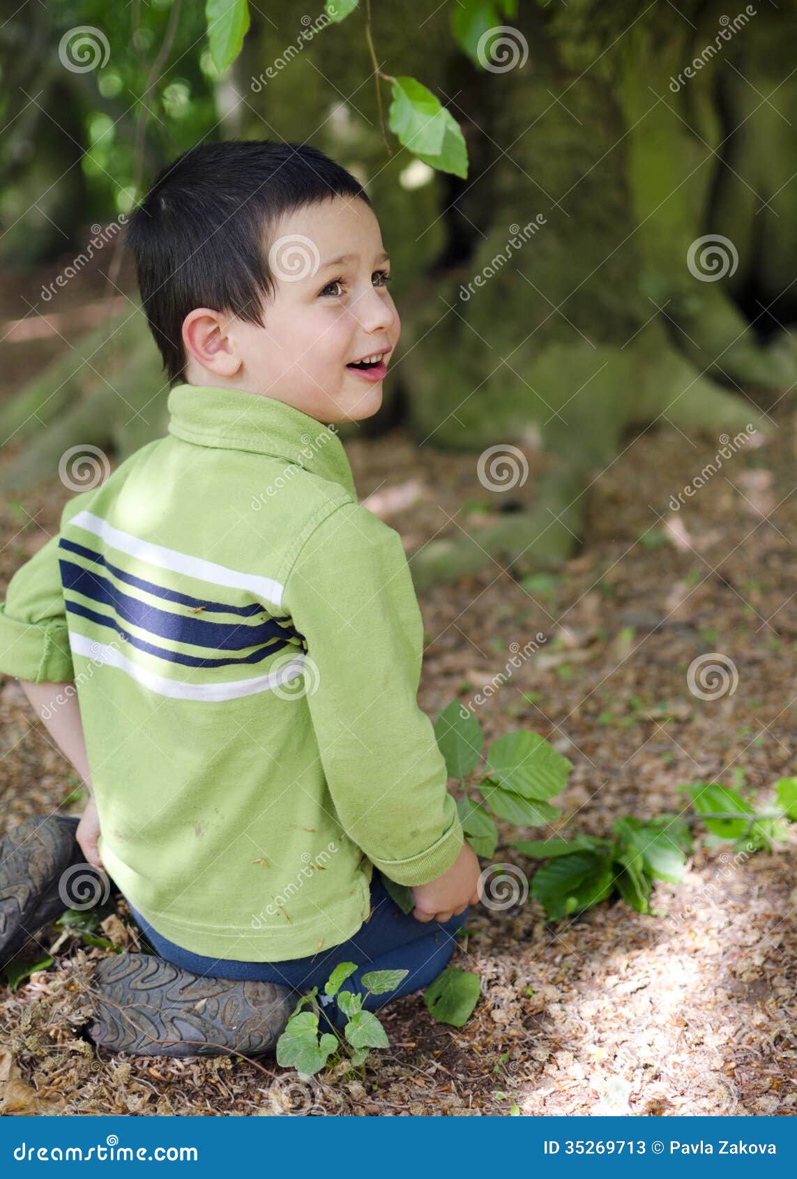 Child under tree in forest stock image. Image of natural - 35269713
