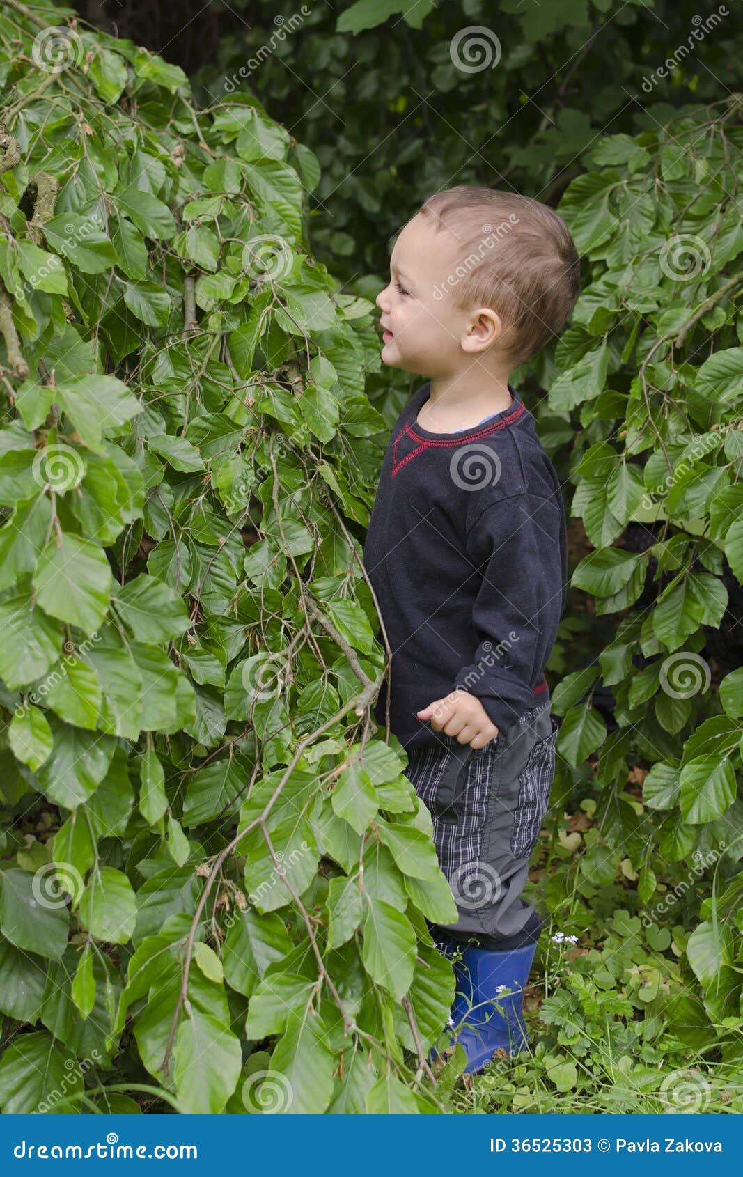 Child under a tree stock image. Image of beautiful, little - 36525303
