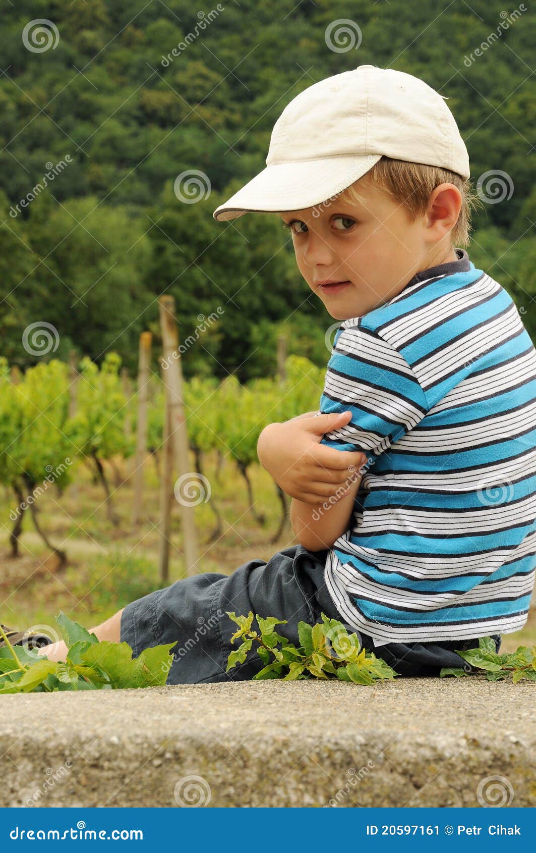 Child on vineyard stock image. Image of bush, portrait - 20597161
