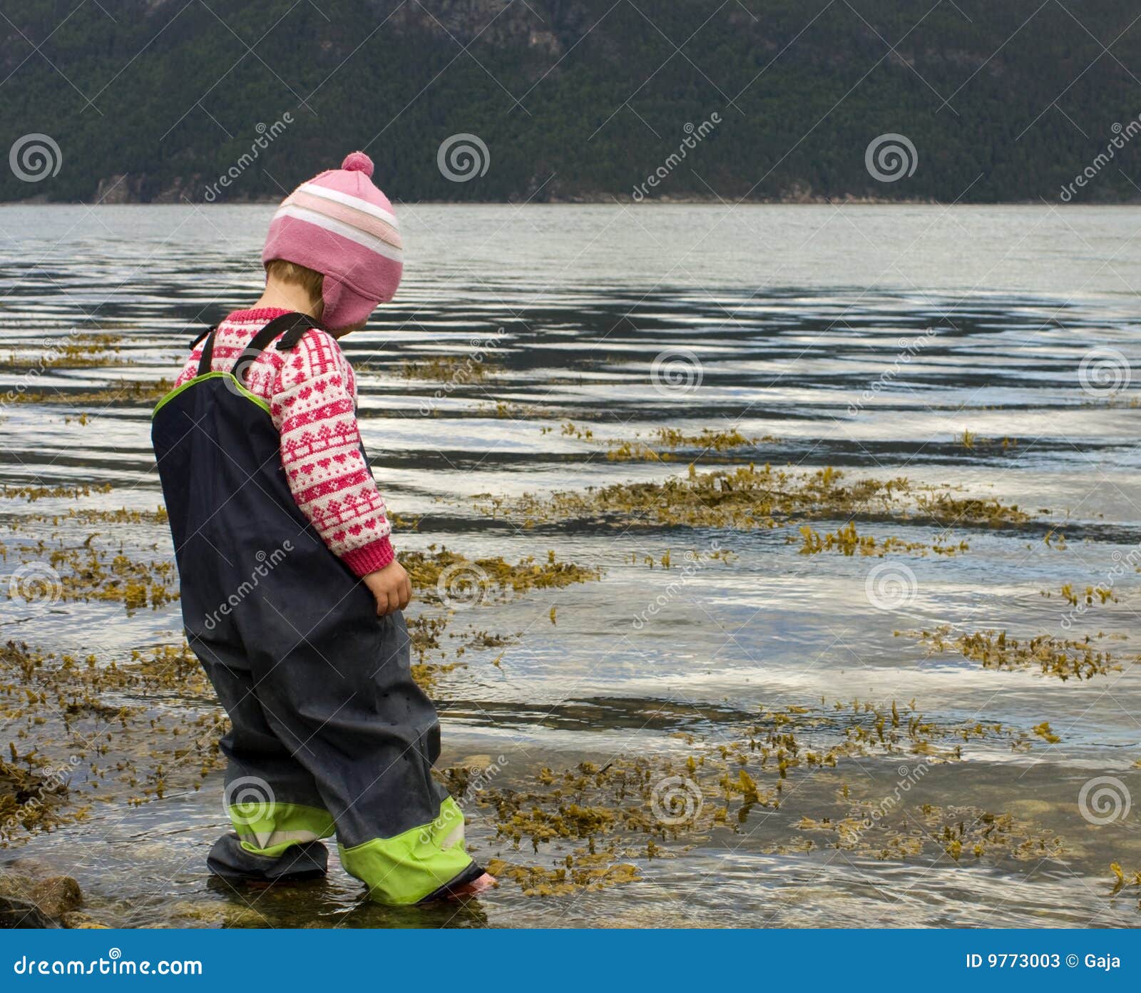 Child wading stock image. Image of child, standing, back - 9773003
