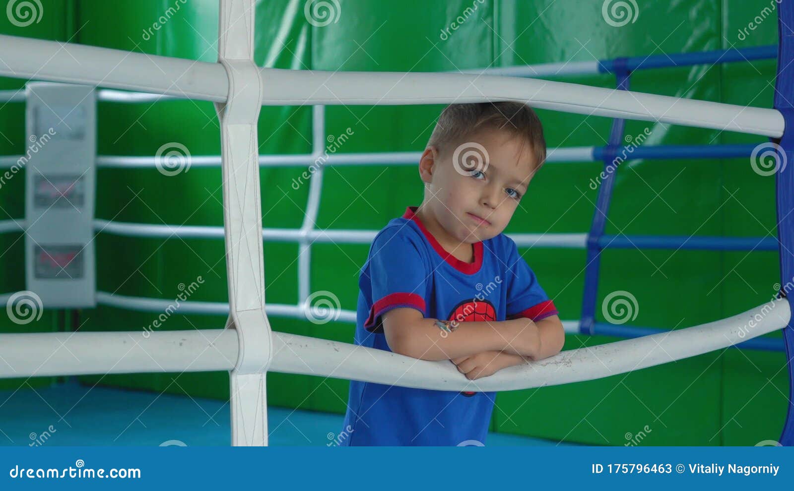 The boxing ring. stock video. Video of game, carefully - 175796463