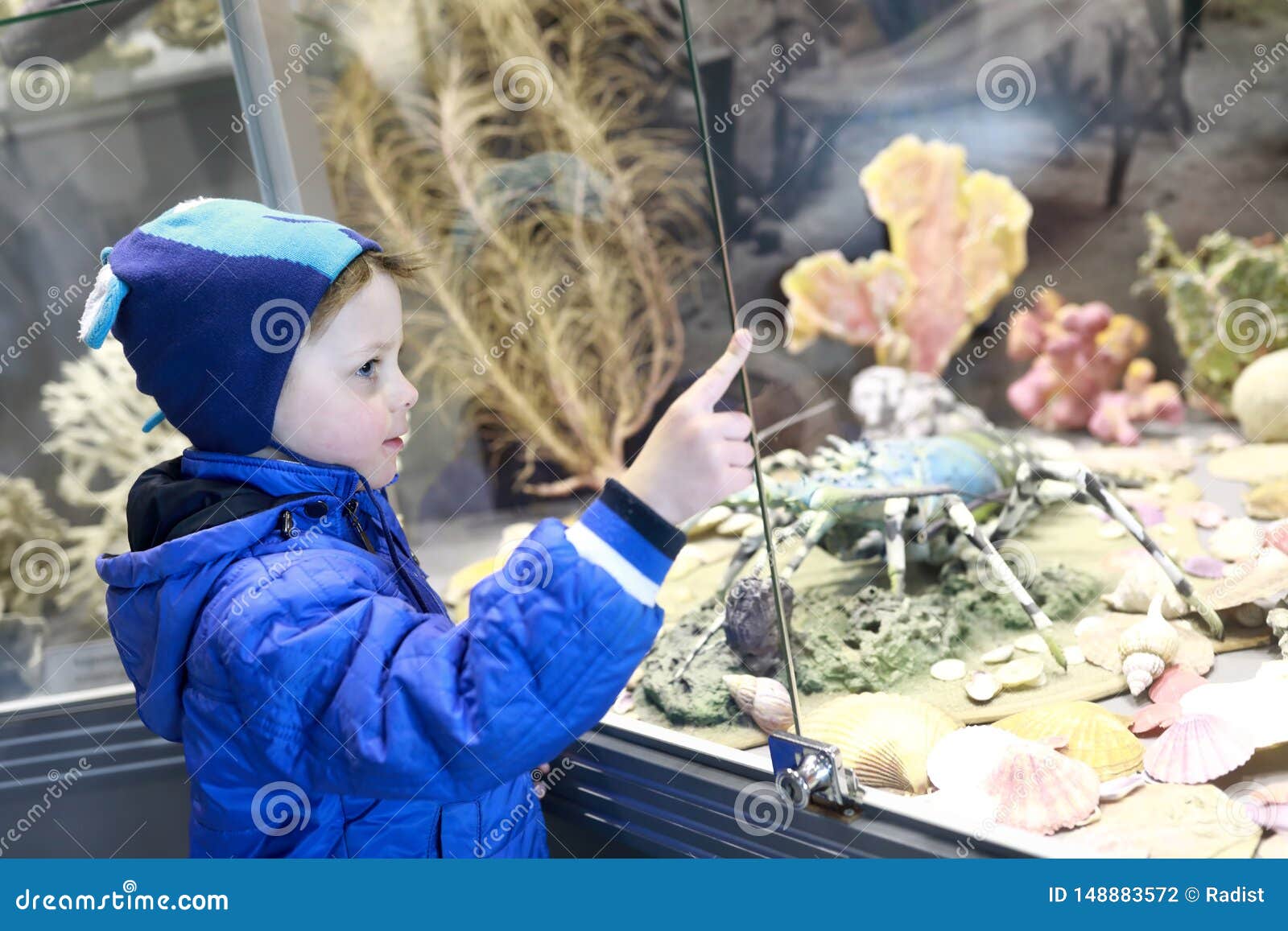 Child watching fish stock photo. Image of little, recreational - 148883572
