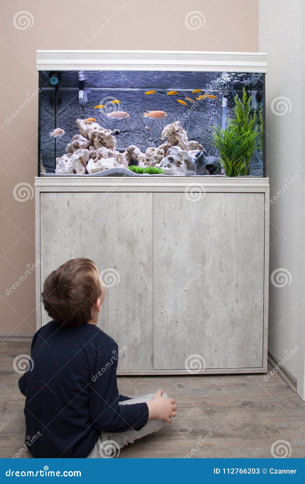 Child watching fish tank. stock image. Image of reef - 112766203