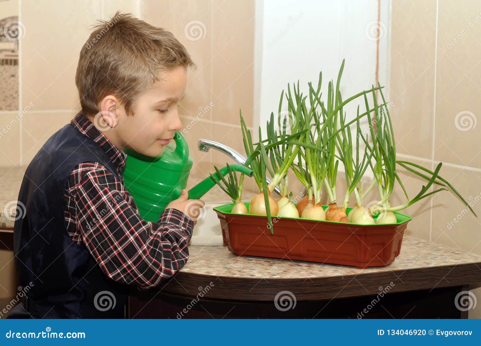 Child watering onions stock photo. Image of botany, nature - 134046920