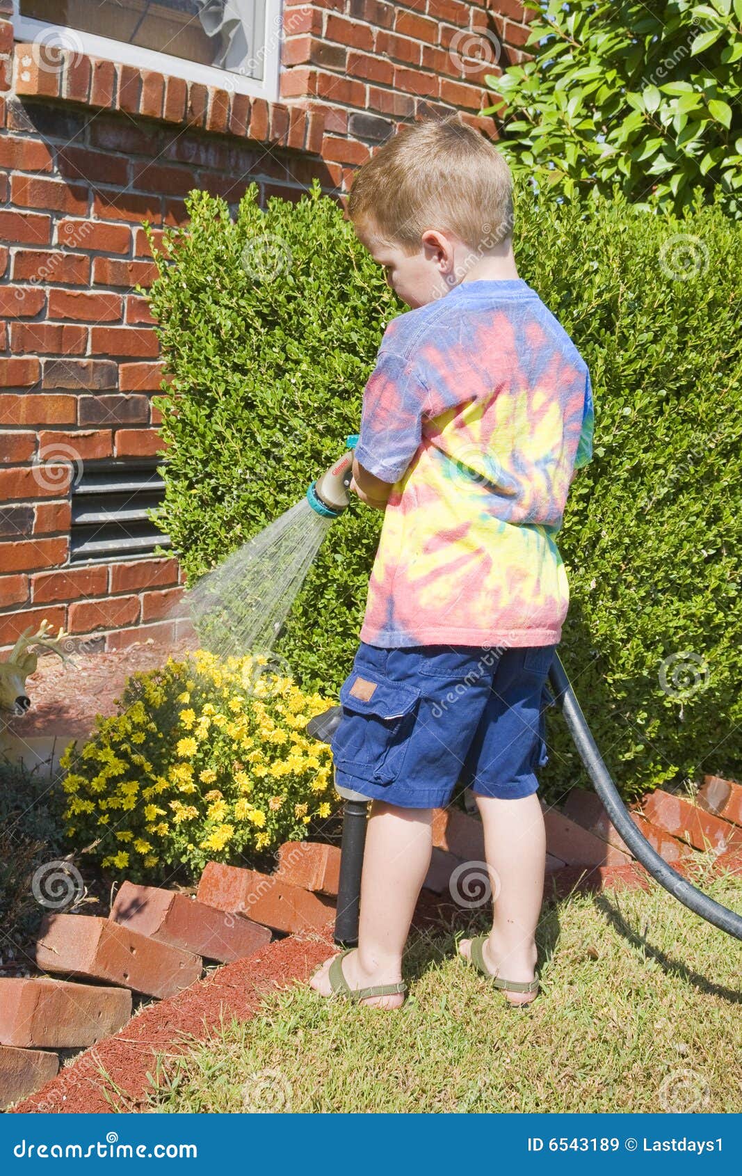 Child watering plants stock image. Image of active, plants - 6543189