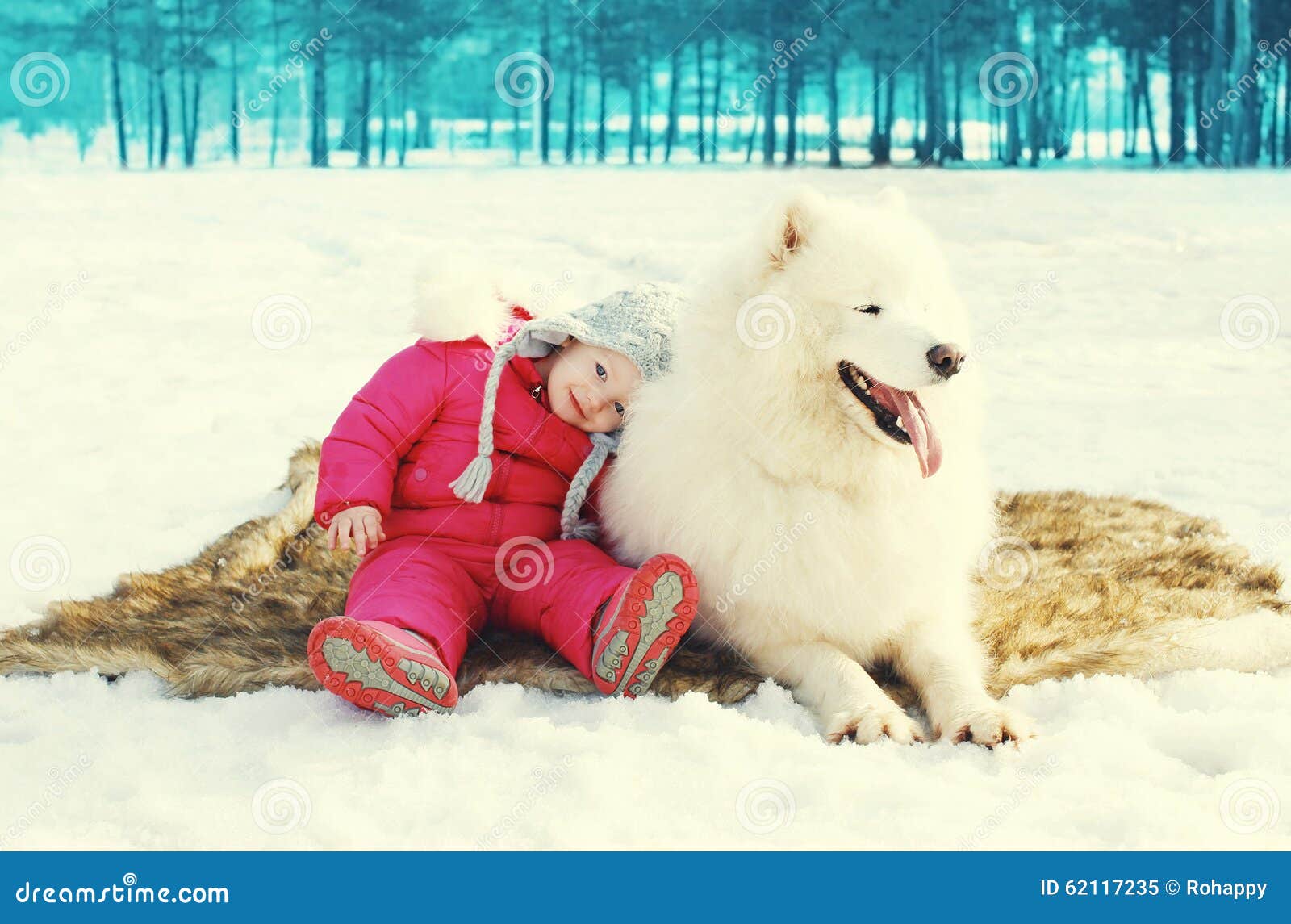Child with White Samoyed Dog Having Fun on Snow in Winter Stock Image ...