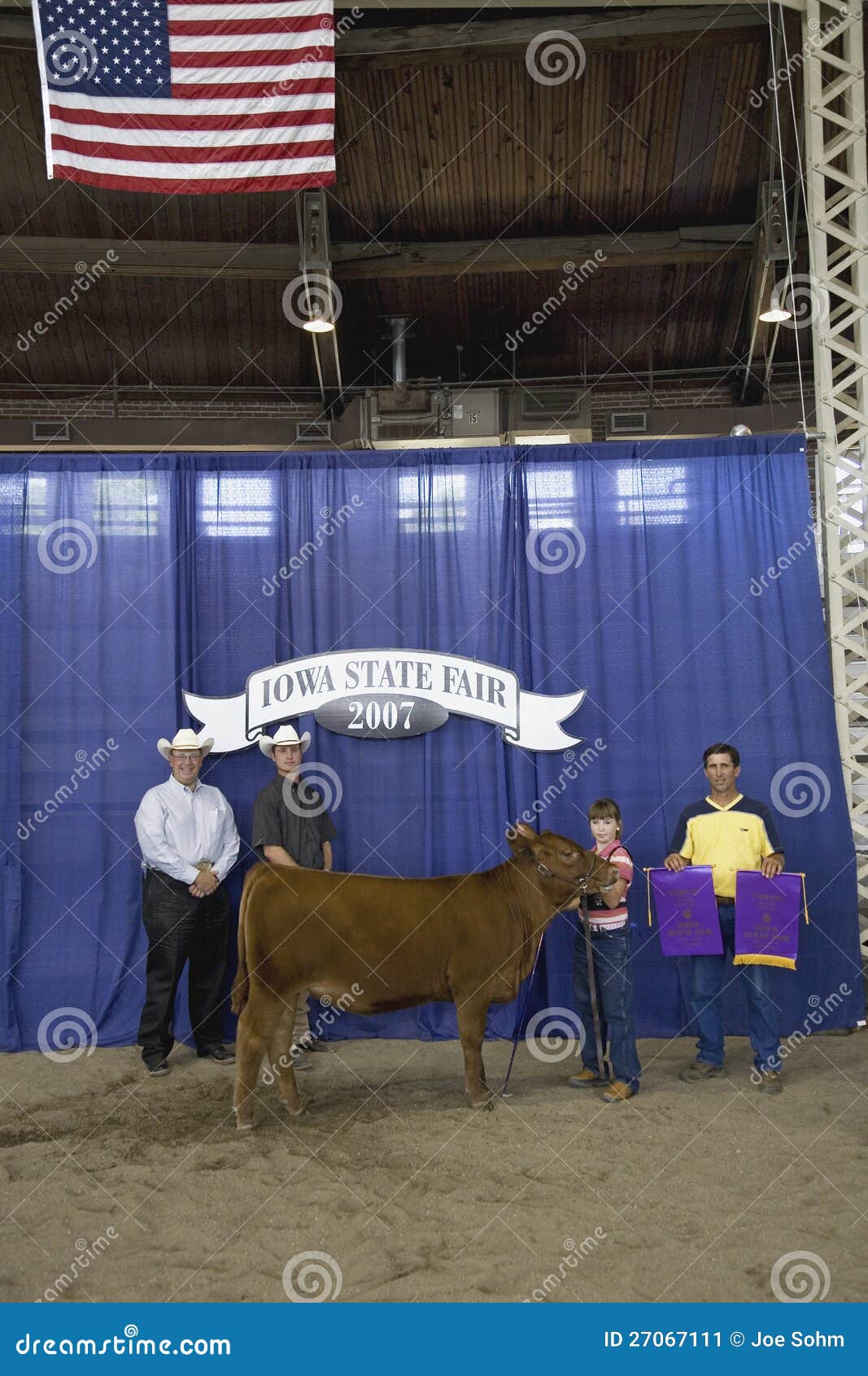 Child Winner of Cow Competition Editorial Photo - Image of females ...