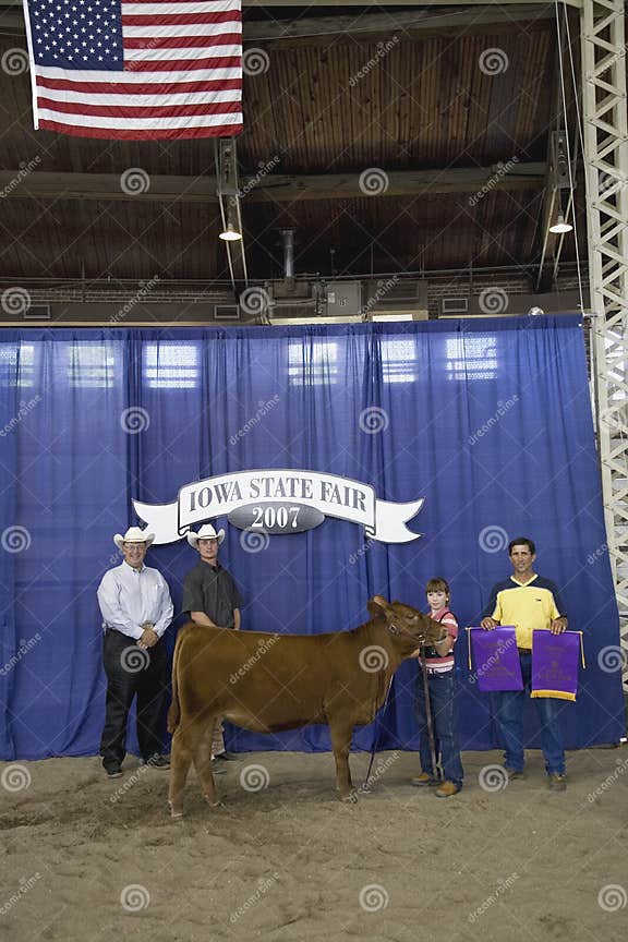 Child Winner of Cow Competition Editorial Photo - Image of females ...