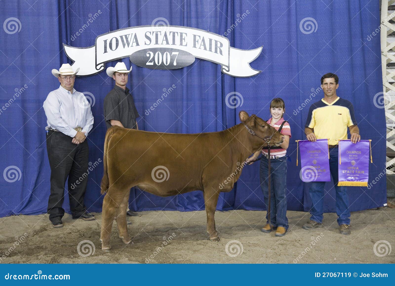 Child Winner of Cow Competition Editorial Stock Image - Image of ...