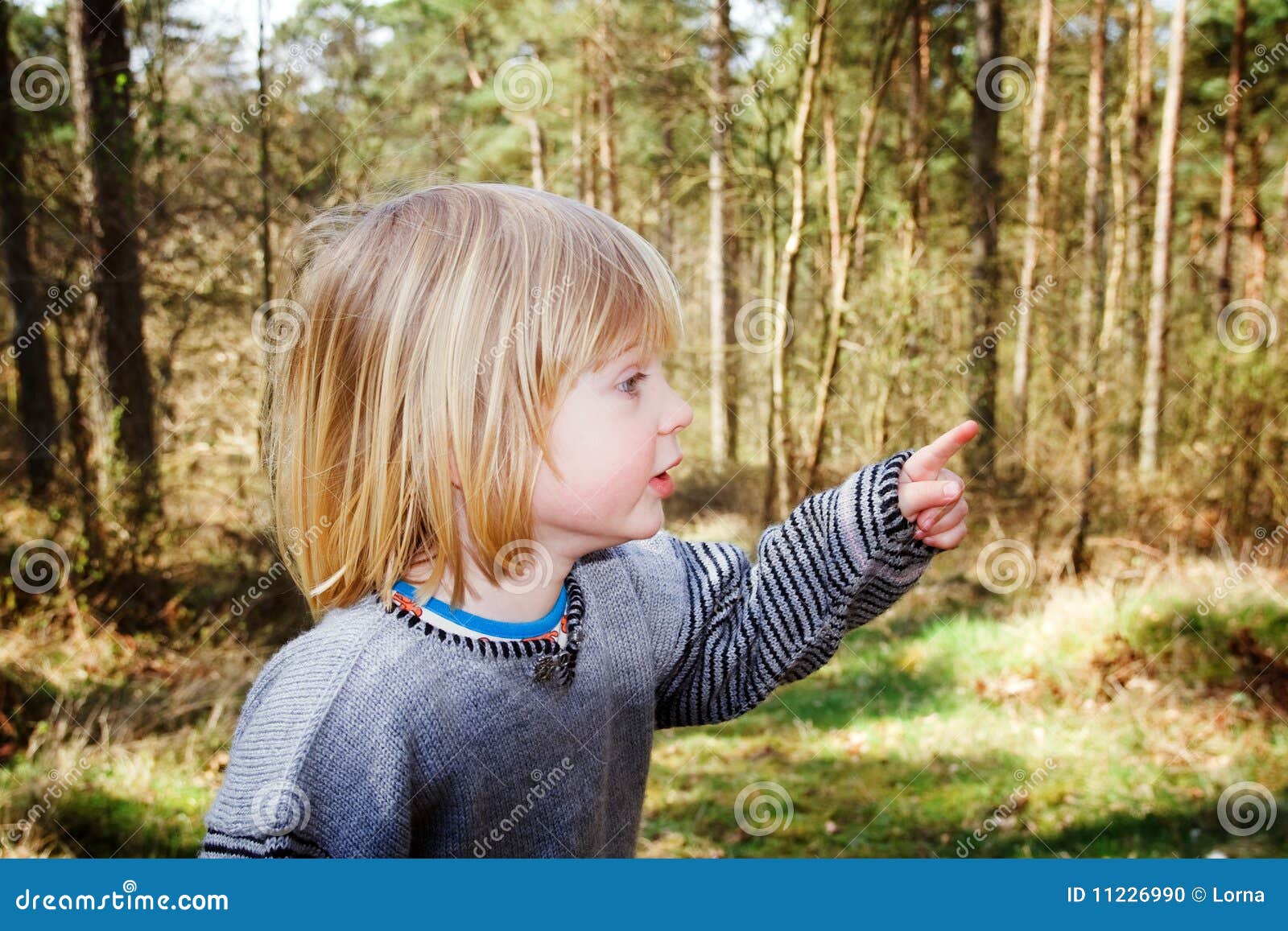 Child wood scared stock photo. Image of courage, person - 11226990