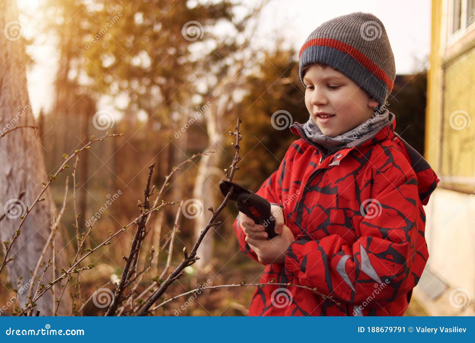 Child Works in the Garden. Boy Shears Trims Trees and Shrubs in the ...