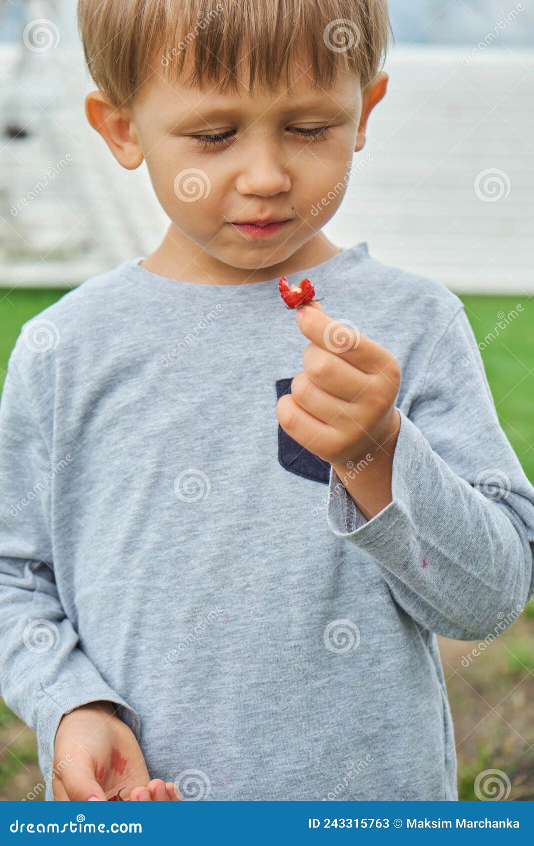 Child 4 Years Old Holding and Eating Raspberries in Backyard Stock ...