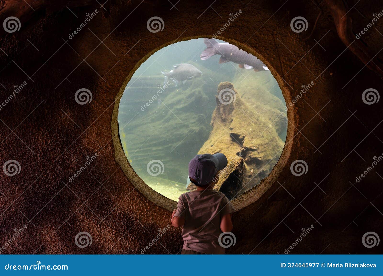 Child at the Zoo Observes River Fish through a Window in an Underground ...