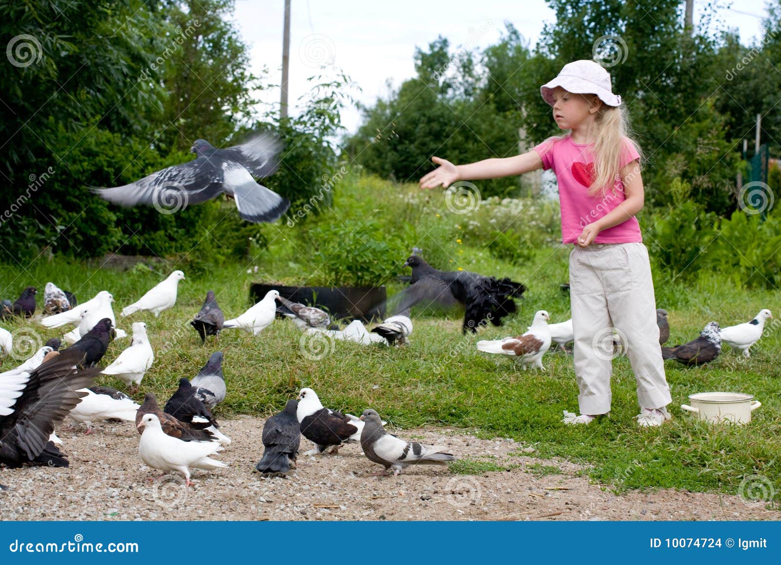 Childhood stock photo. Image of bird, adolescent, human - 10074724