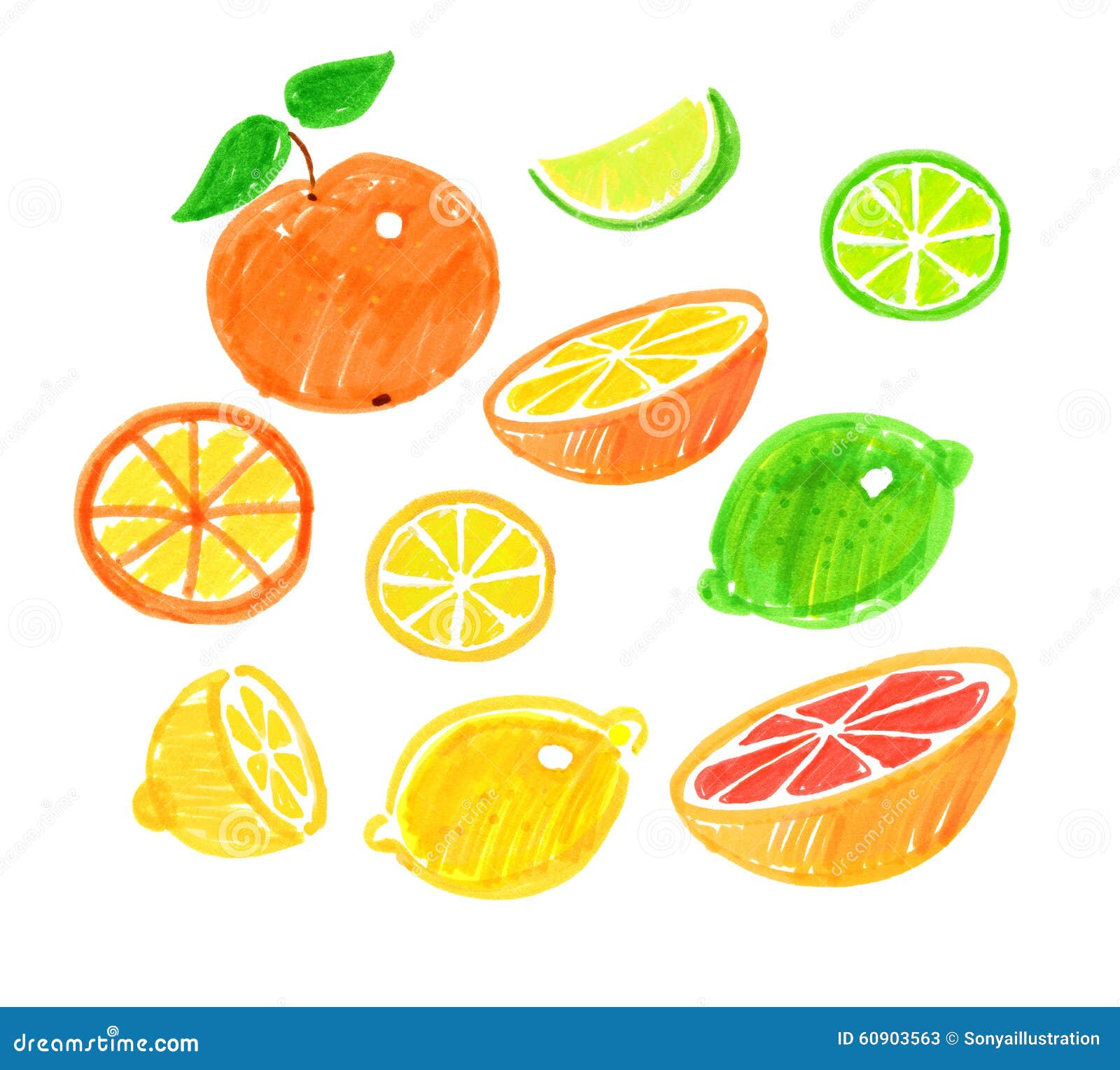 Childlike Drawing Of Citrus Fruit. Stock Illustration - Image: 60903563