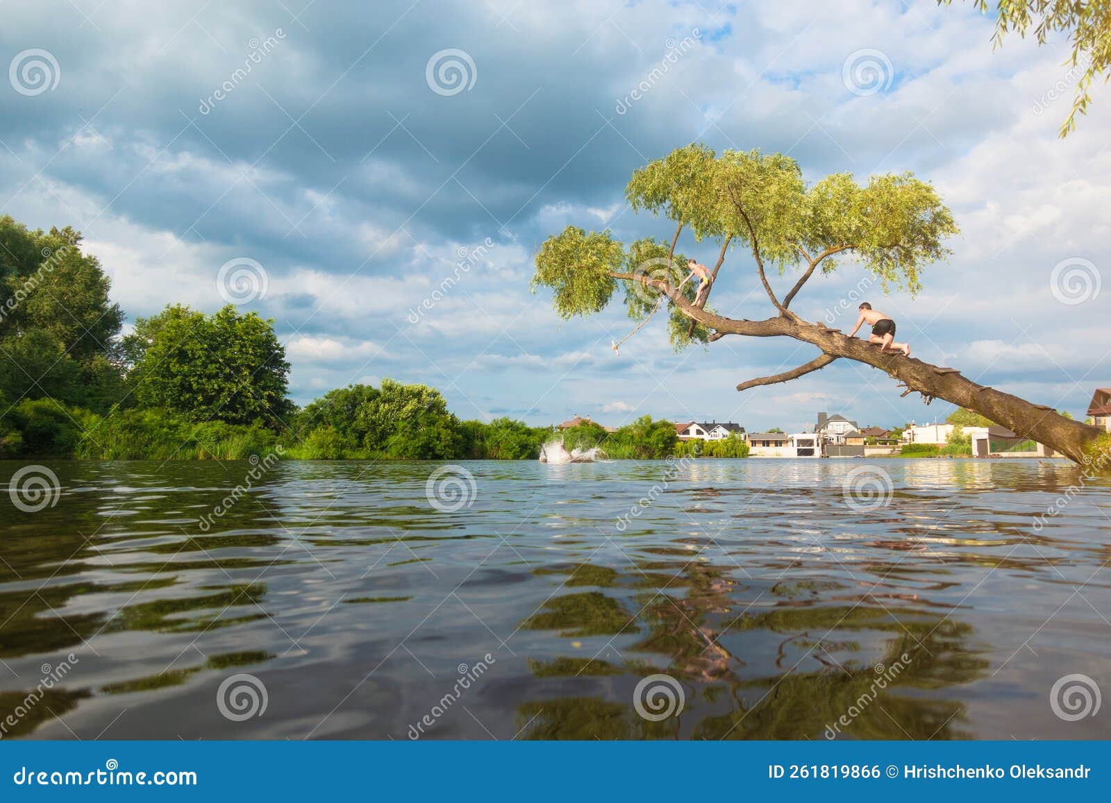 Children and Adults Jump from a Tree into the Water Stock Photo - Image ...