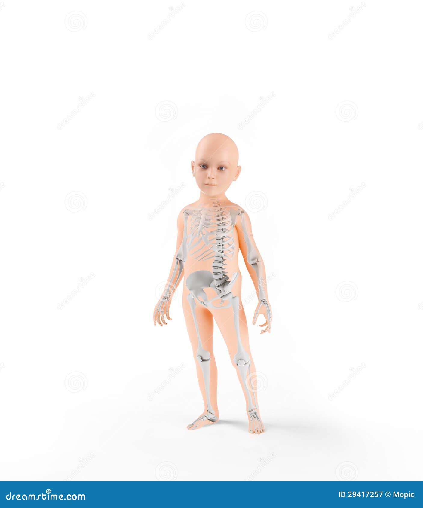 Children Anatomy Educational Body Organs Chart For Kids. Cute Little ...