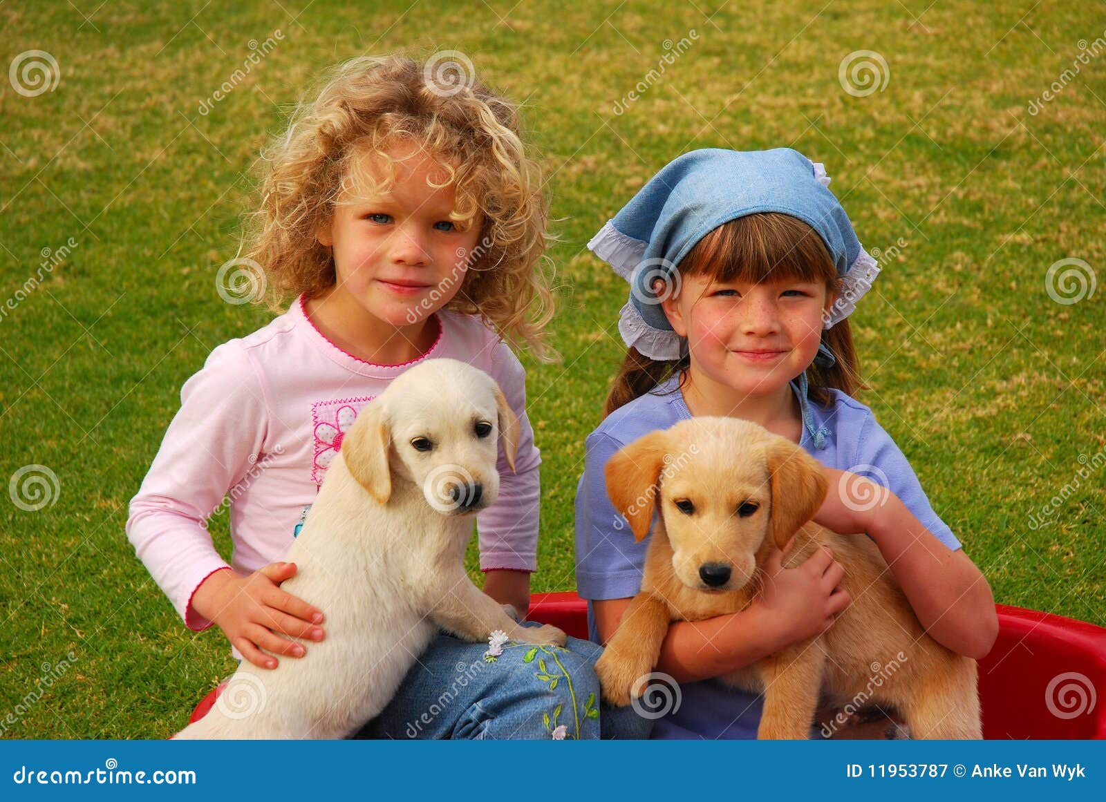 Children with animals stock image. Image of doggy, friends - 11953787