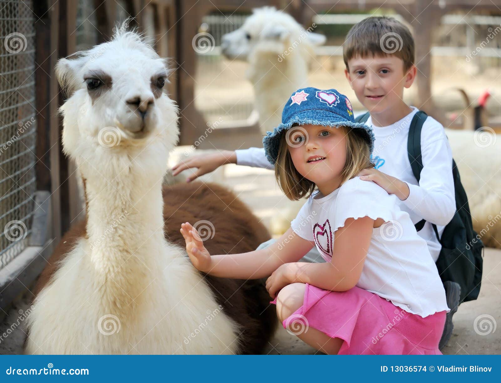 Children and Animals in the Zoo Stock Photo - Image of young, caress ...