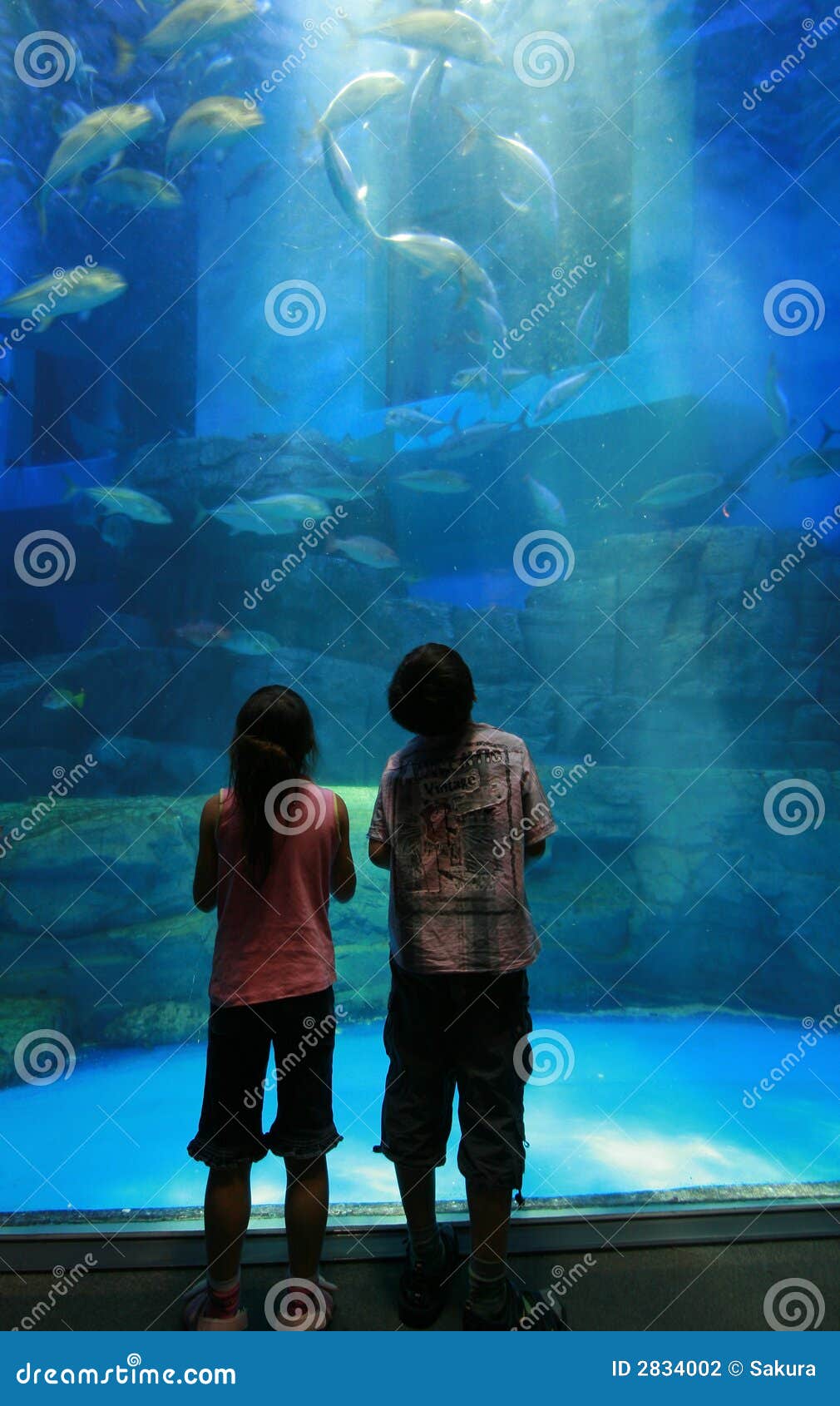 Children in aquarium stock photo. Image of activity, aquatic - 2834002