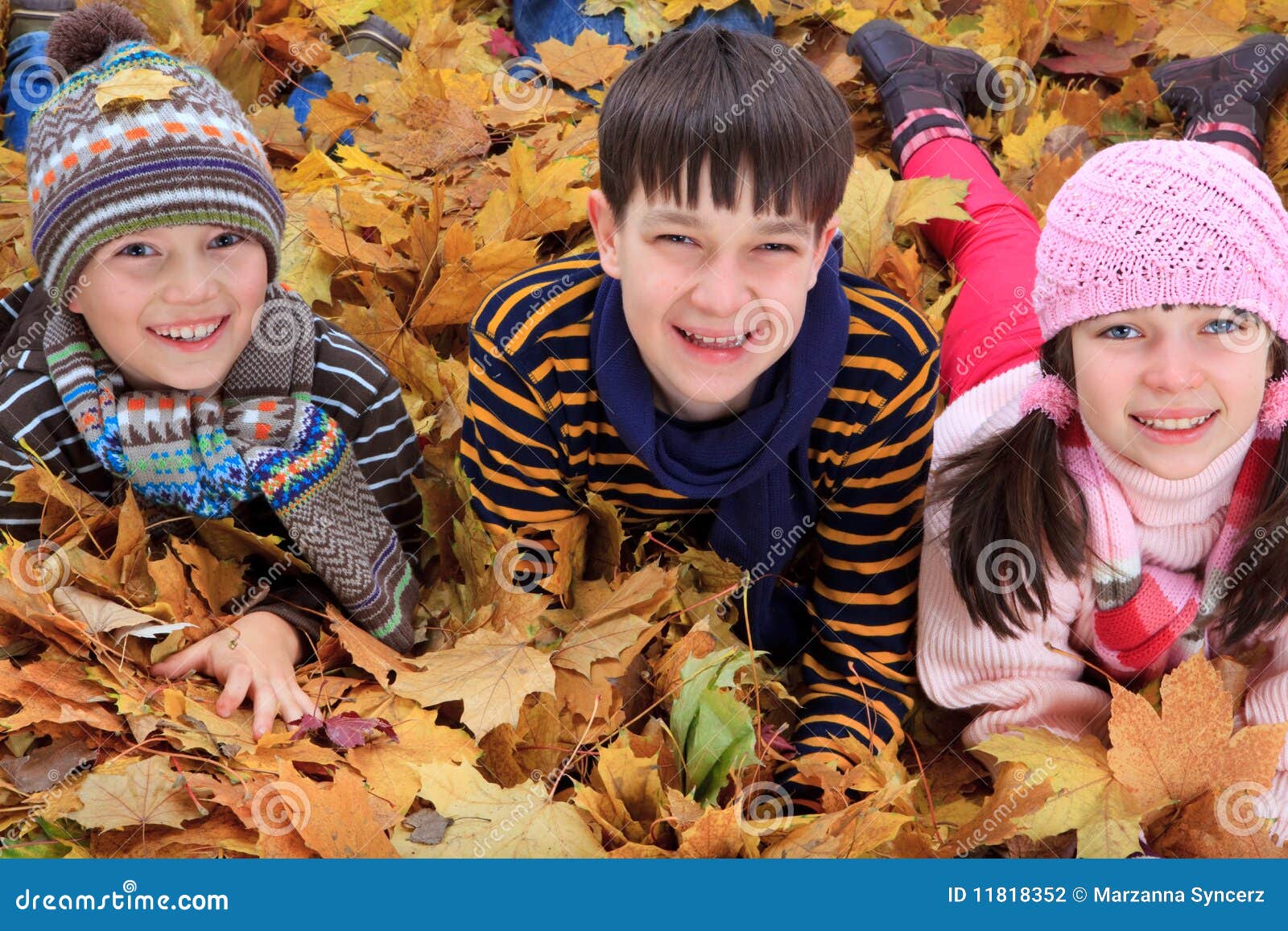 Children in autumn leaves stock photo. Image of carefree - 11818352