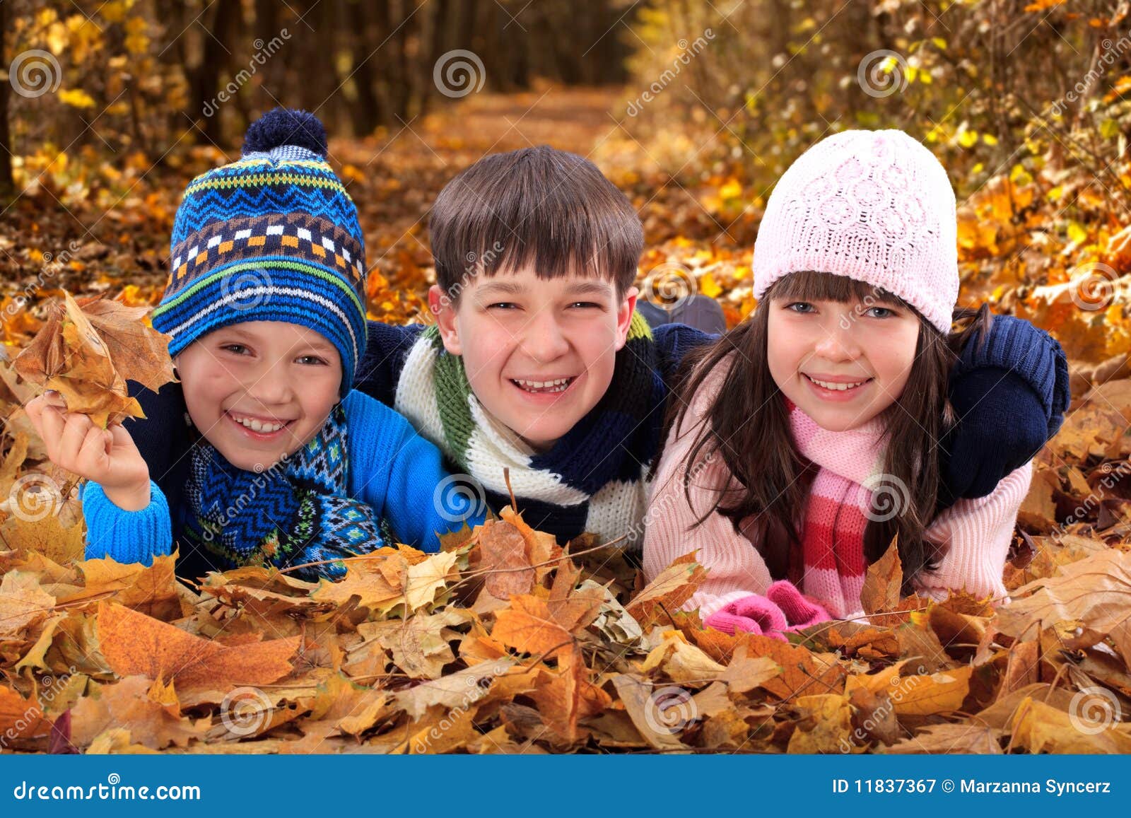 Children in autumn leaves stock image. Image of adorable - 11837367