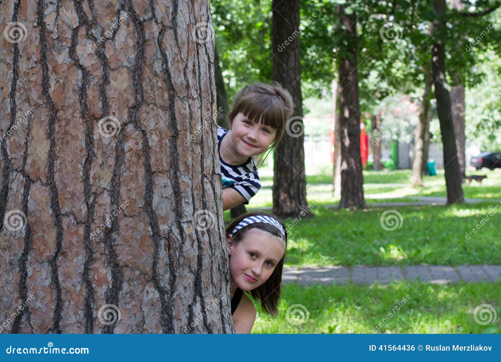 Children behind a tree stock photo. Image of cheerful - 41564436