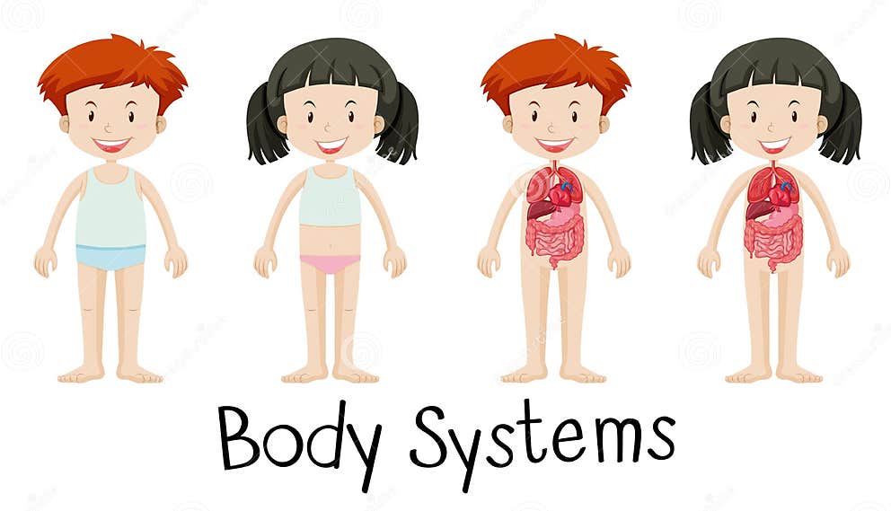 Children and body systems stock vector. Illustration of path - 66686637