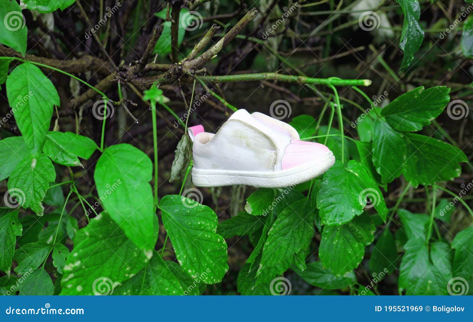 Children Boot Hanging on Wet Tree Stock Image - Image of bright, dirty ...
