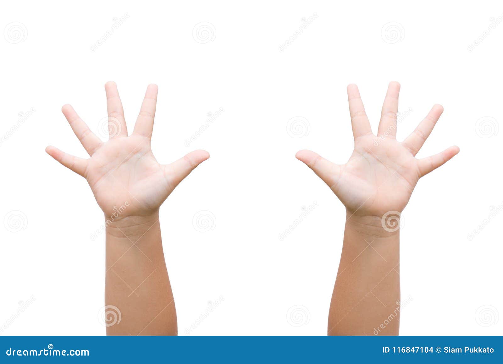 Children Boy Hand Showing the Five Fingers on White Background Stock ...