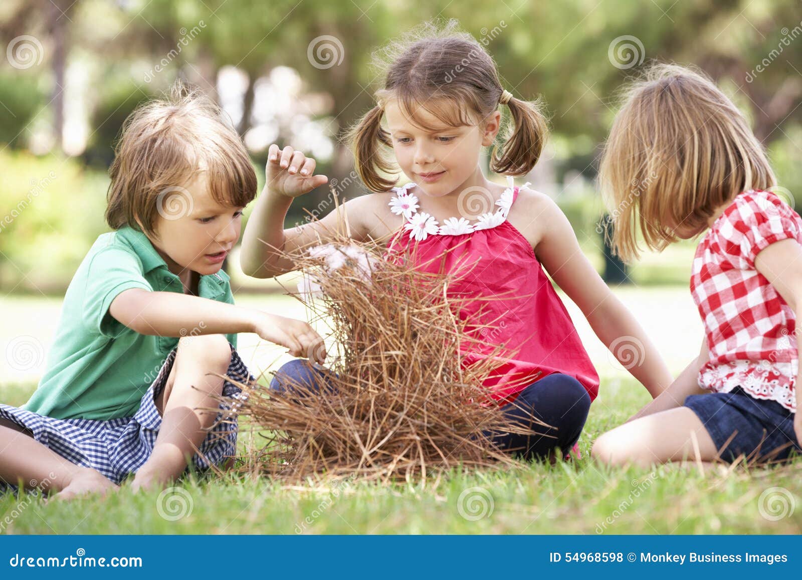 Children Building Camp Fire Stock Photo - Image of happy, outdoors ...
