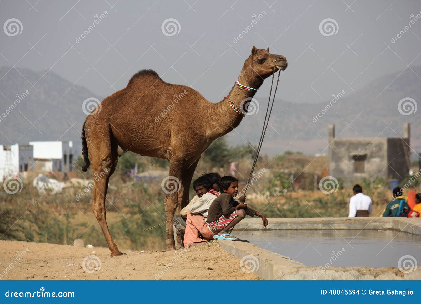 Children with a camel editorial stock image. Image of animal - 48045594