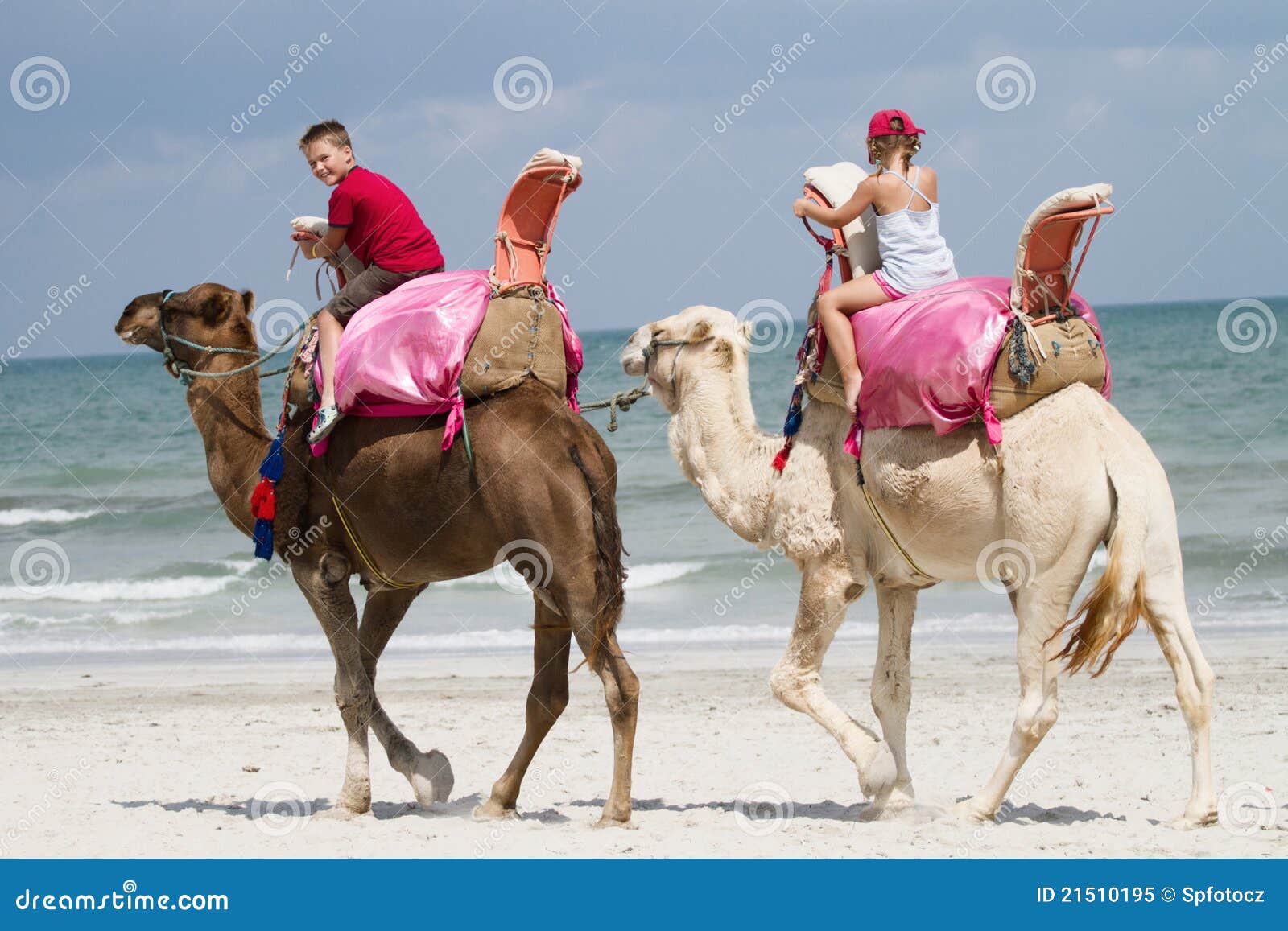 Children on camels stock image. Image of emirates, objects - 21510195