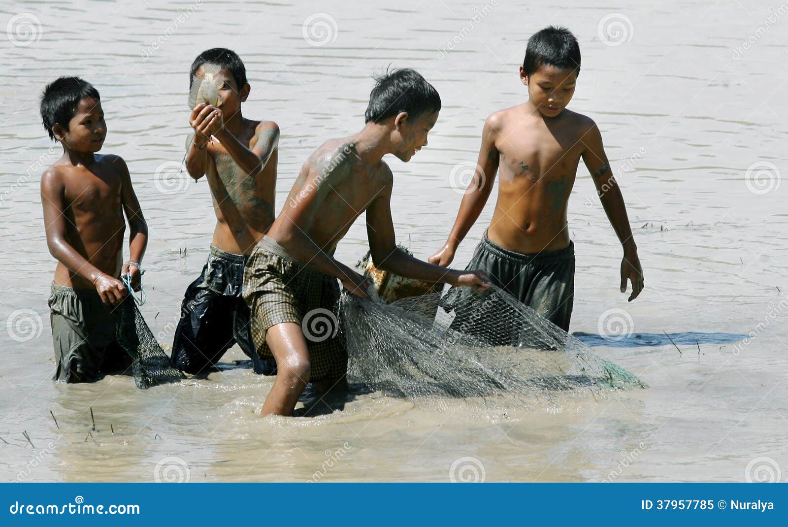 Children Catch Fish in Paddy Field Editorial Image - Image of cute ...