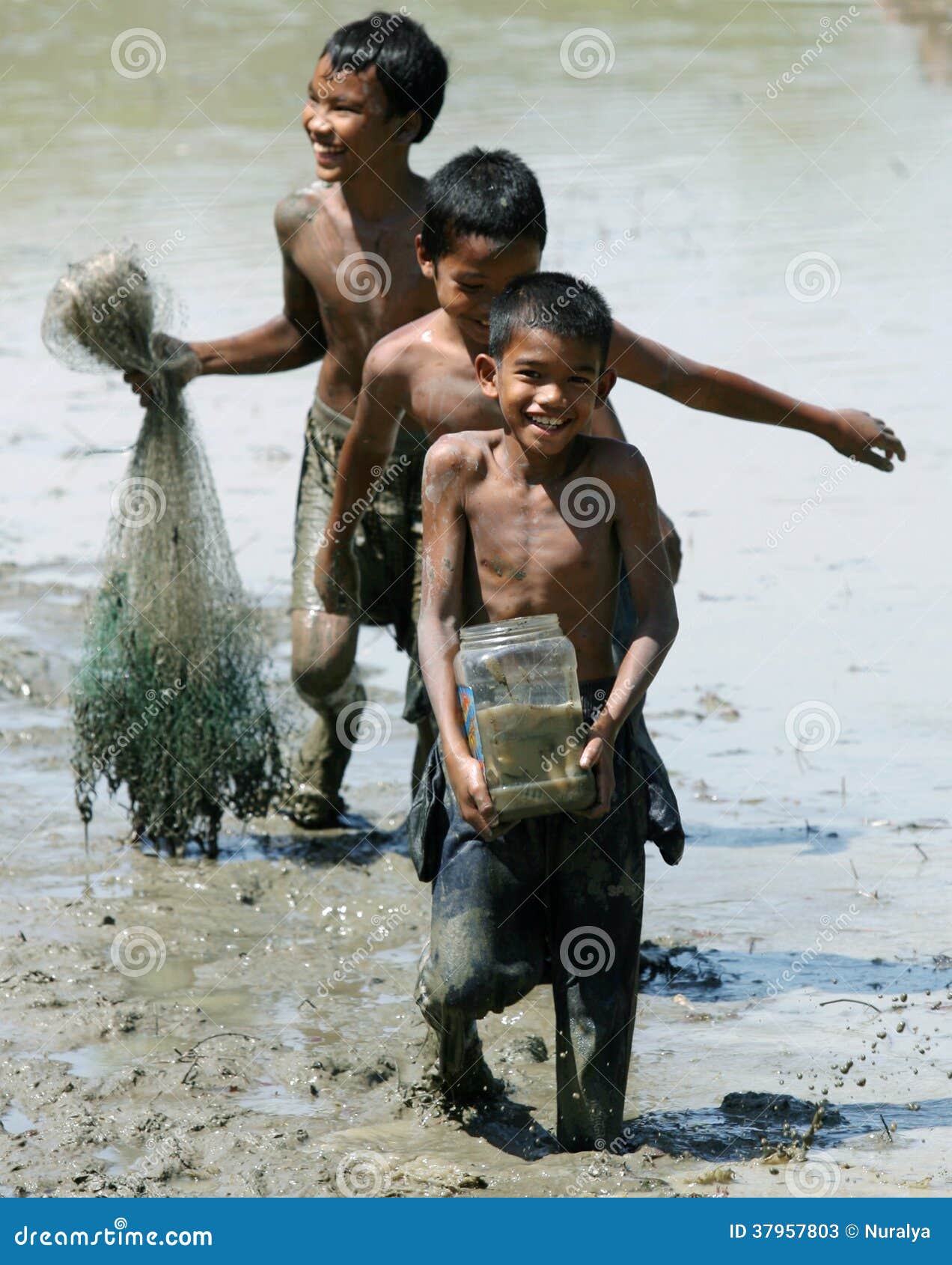 Children Catch Fish in Paddy Field Editorial Stock Photo - Image of ...