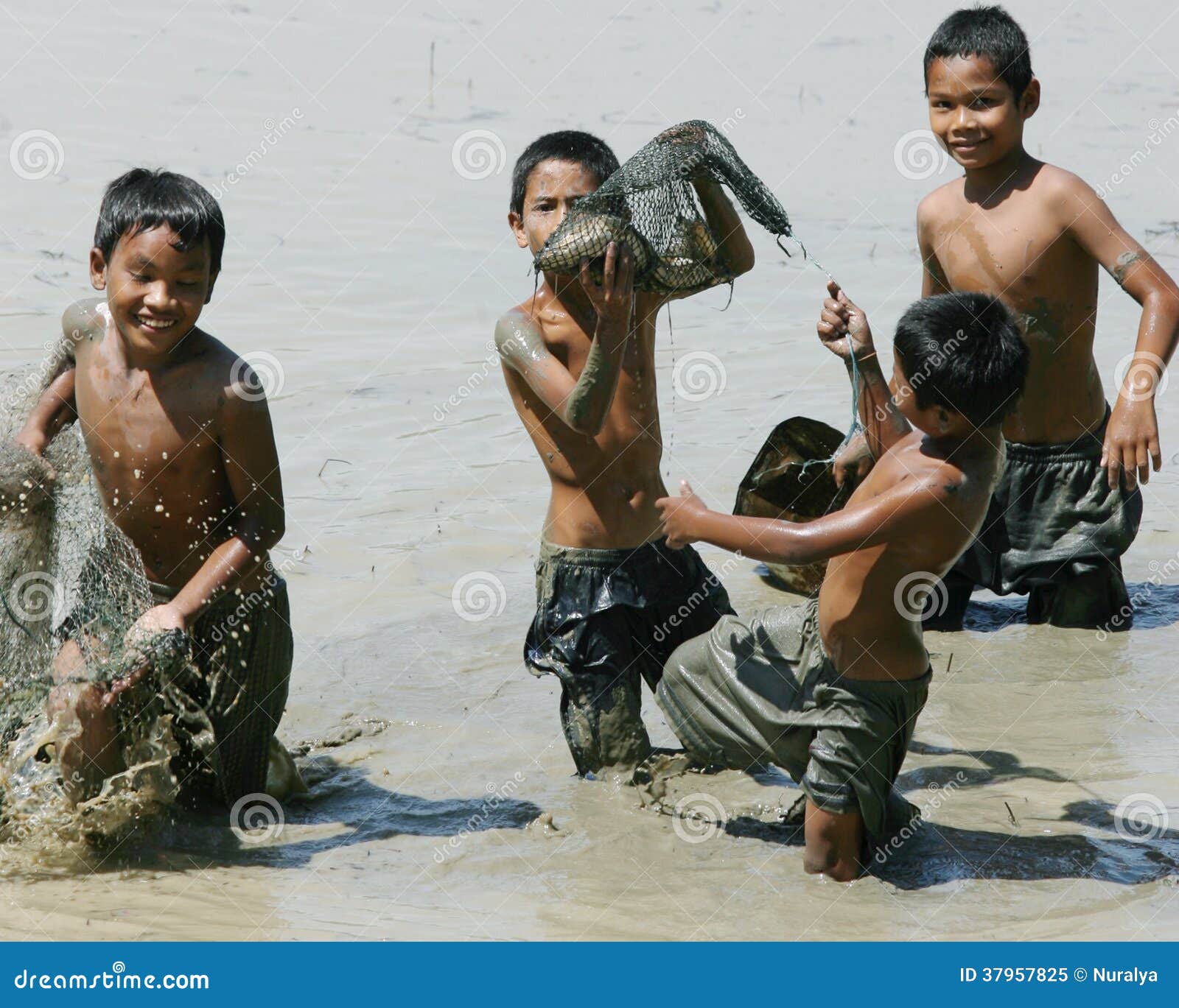 Children Catch Fish in Paddy Field Editorial Image - Image of innocence ...