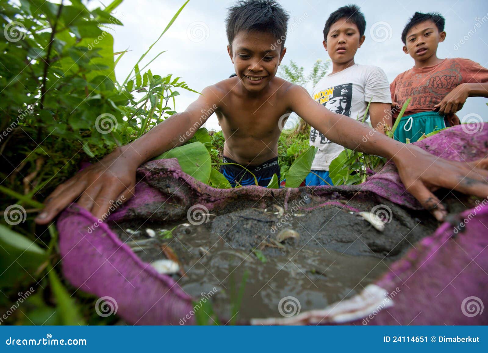 Children Catch Small Fish in a Ditch Editorial Photo - Image of ...
