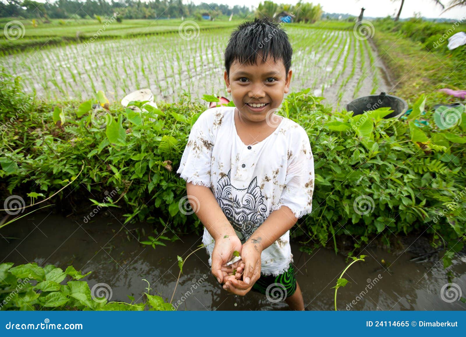 Children Catch Small Fish in a Ditch Editorial Image - Image of ...
