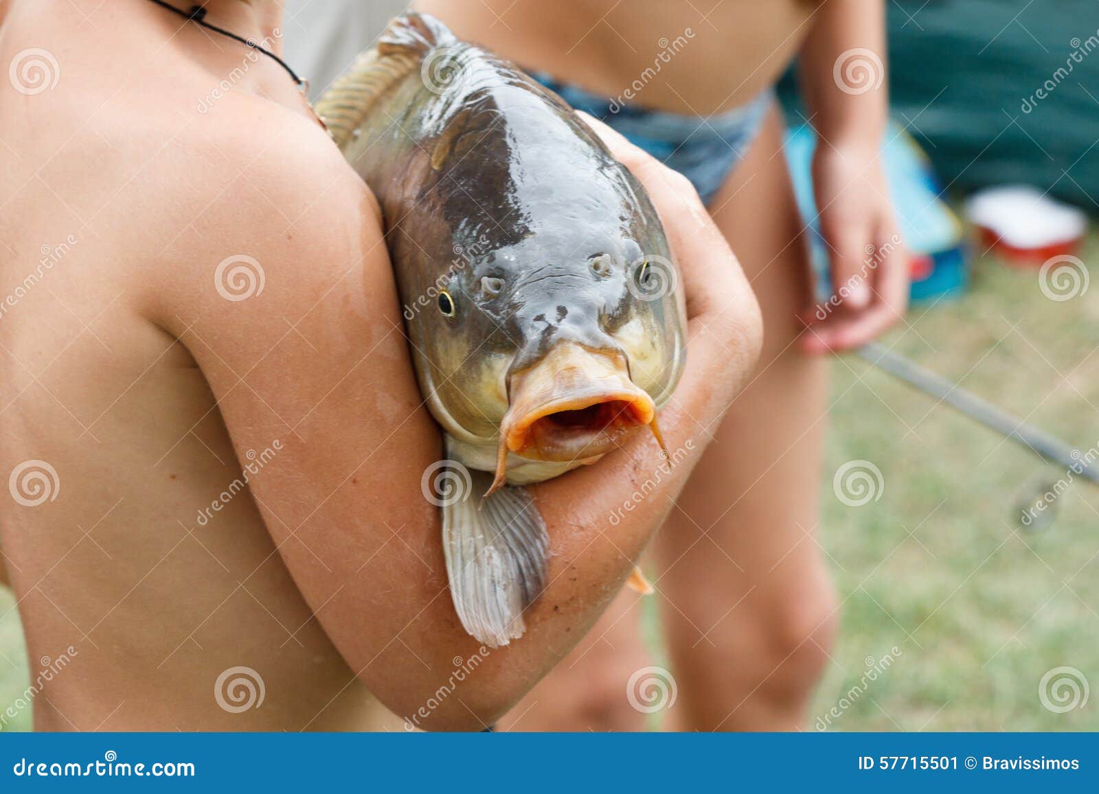 Children Caught The Atlantic Ghost Crab Ocypode Quadrata Also Known As ...