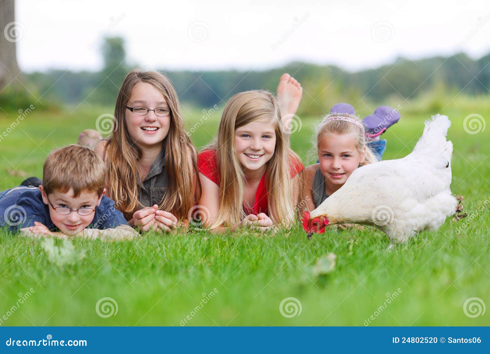 Children with a chicken stock photo. Image of lucky, animal - 24802520