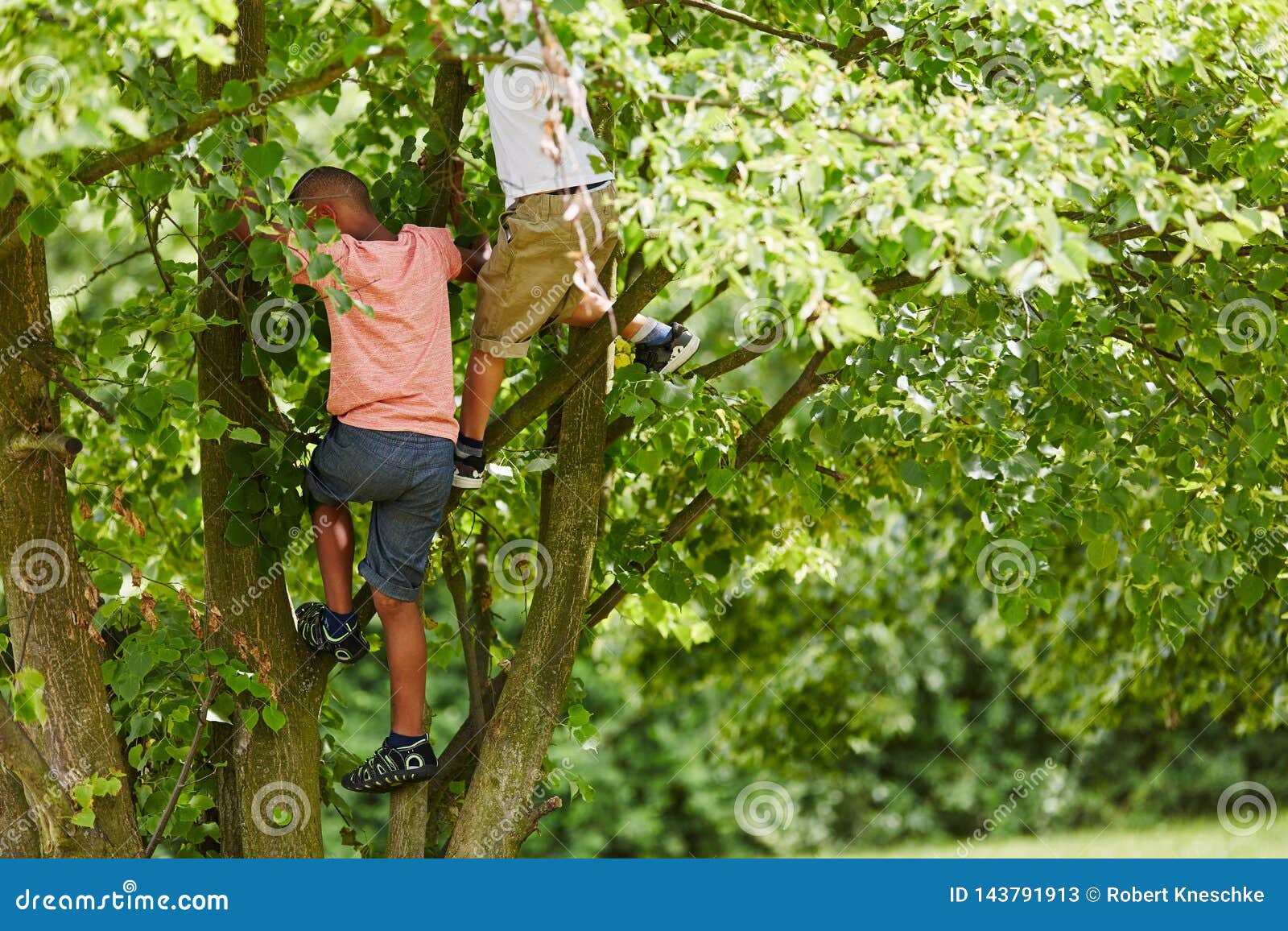 Children climb tree stock image. Image of tree, autumn - 143791913