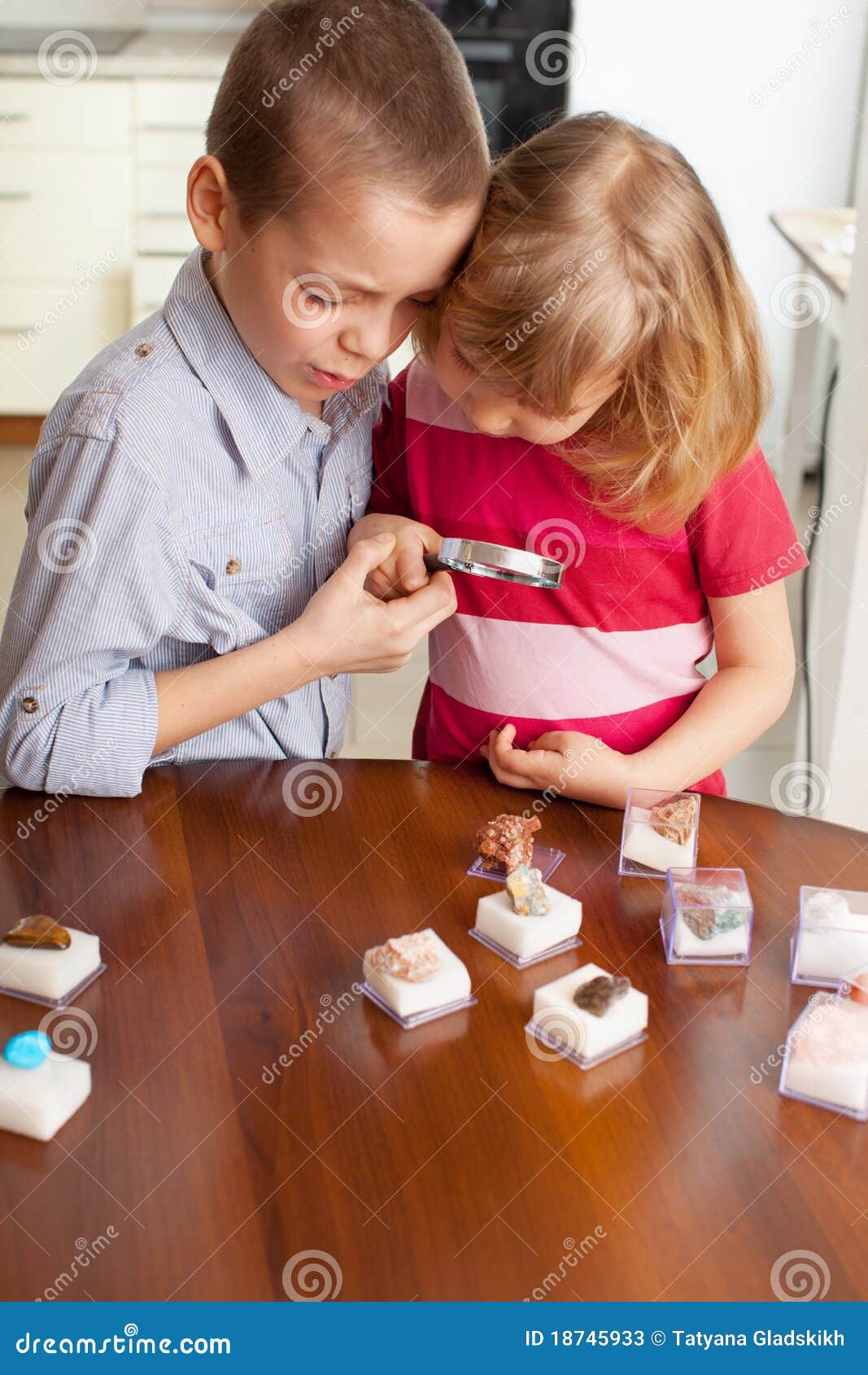Children are Considering a Magnifying Glass Stones Stock Image - Image ...