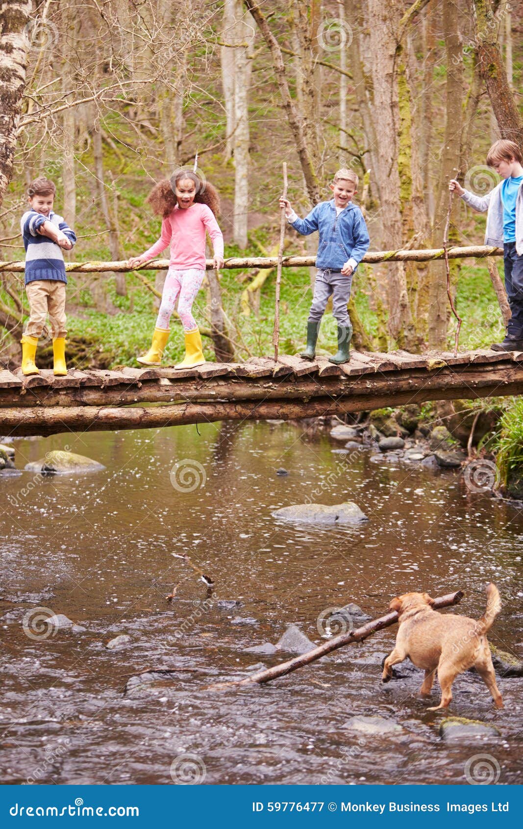 Children Crossing Bridge As Dog Plays in Stream Stock Image - Image of ...