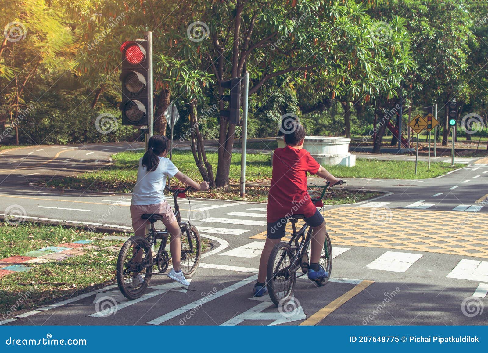 Children are Cycling in the Park, Bicycle Stops at Traffic Lights Stock ...