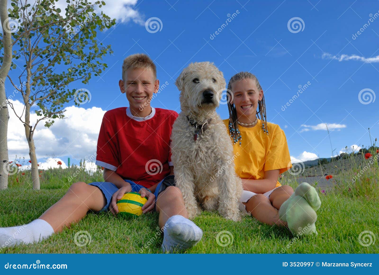 Children with dog stock image. Image of blond, field, siblings - 3520997