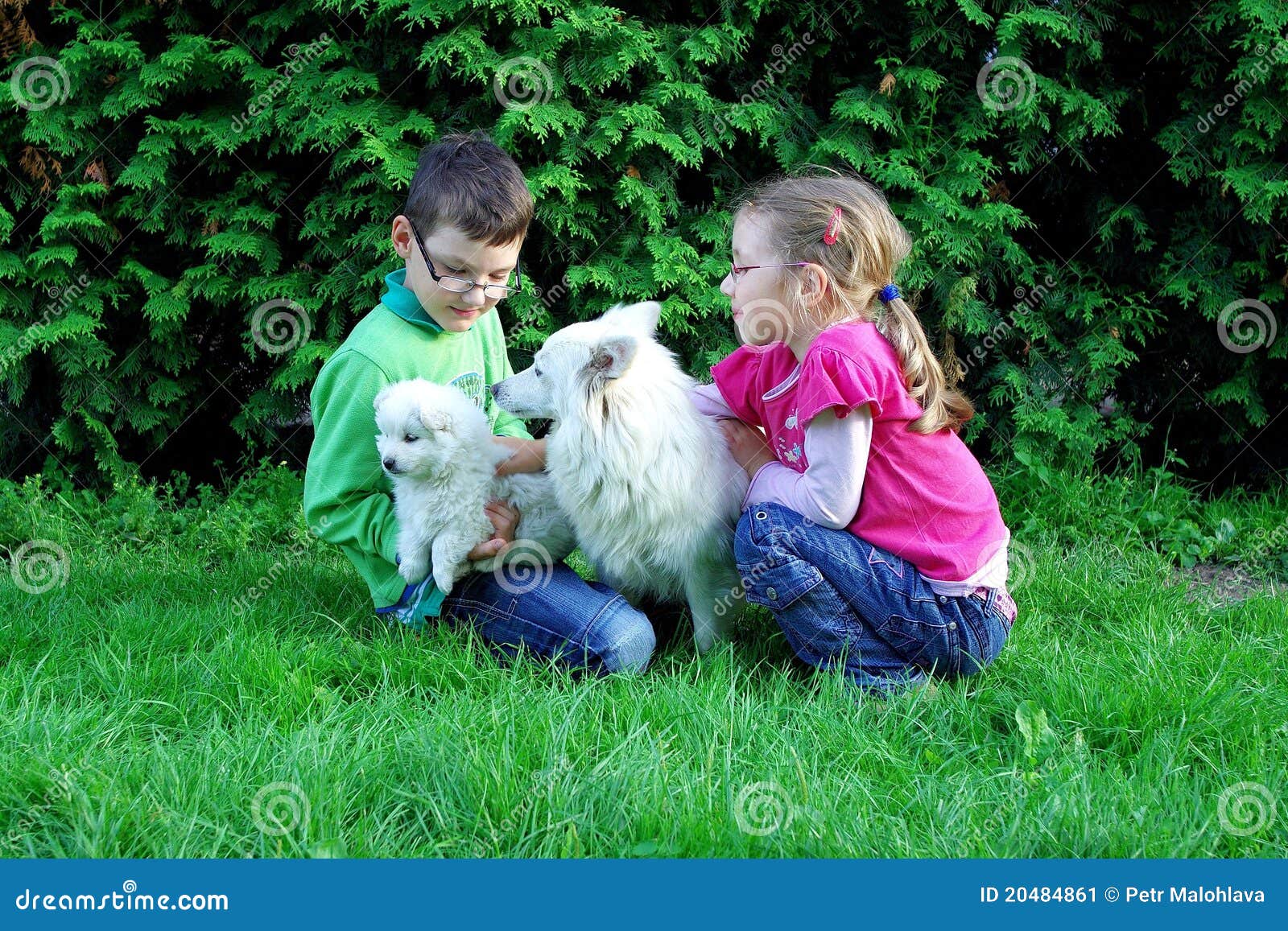 Children with dogs stock image. Image of puppy, sister - 20484861