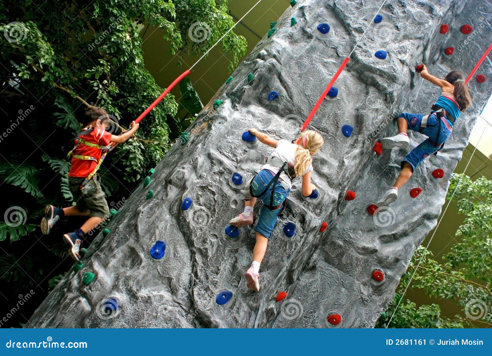 Children Doing Rockclimbing Stock Image - Image of body, climbing: 2681161