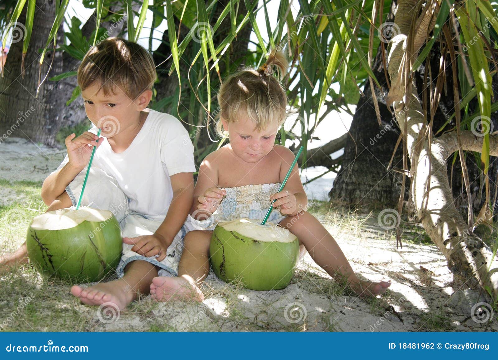 Children Drinking Coconut Juice Under Palm Tree Stock Photo ...